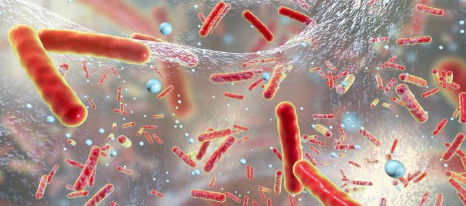 Busting Biofilm to Create Breakthroughs in Healing Chronic Illness ...